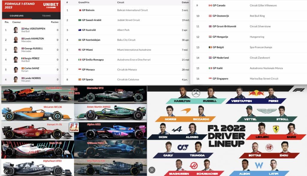 A Beginner's Guide to F1: What Is It and Why Is It so Popular?